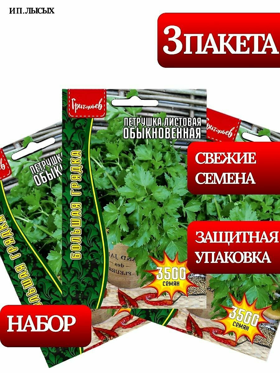 Семена Петрушка "Обыкновенная Листовая"