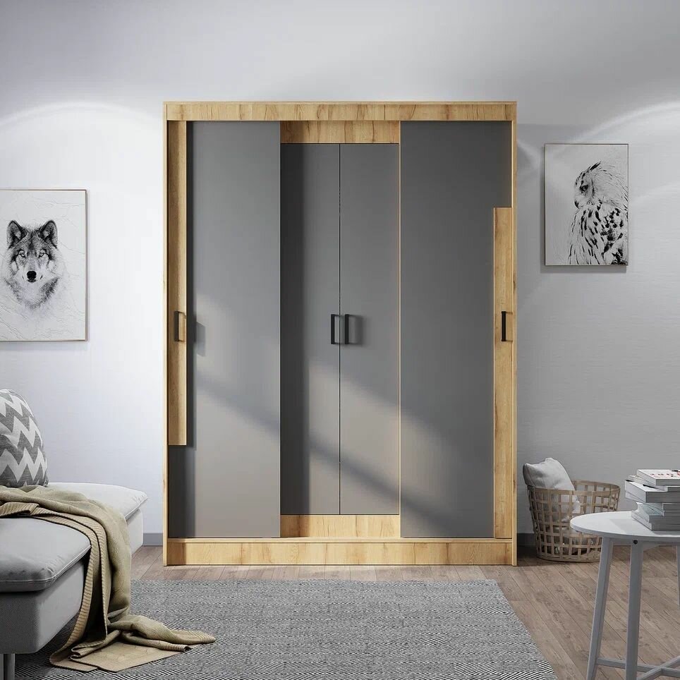 Шкаф-купе "Смарт" ШКК-06, шкаф для одежды, Крафт/графит, БТС