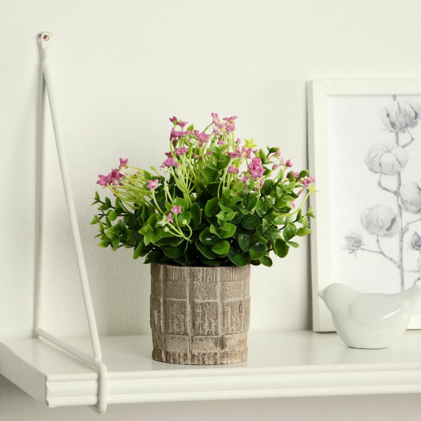 Бонсай в горшке "Фиалка химера" 8 х 17 см