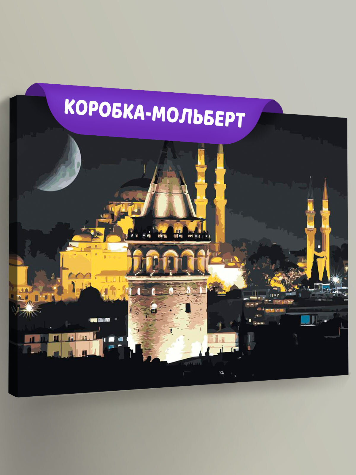 Картина по номерам на холсте с подрамником Стамбул, Турция: Галатская башня и мечеть