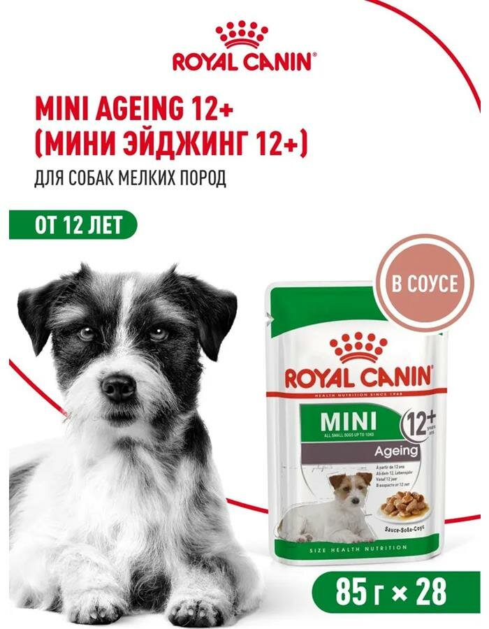 ROYAL CANIN MINI AGEING 12+ пауч влажный корм кусочки в соусе для стареющих собак мелких размеров старше 12 лет 28х85г