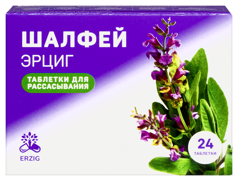 Шалфей эрциг