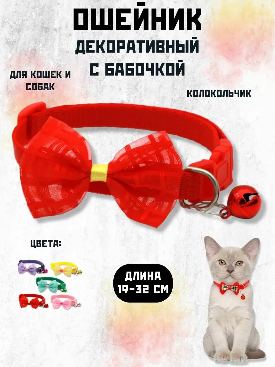 Декоративный ошейник для кошек и собак мелких с бабочкой