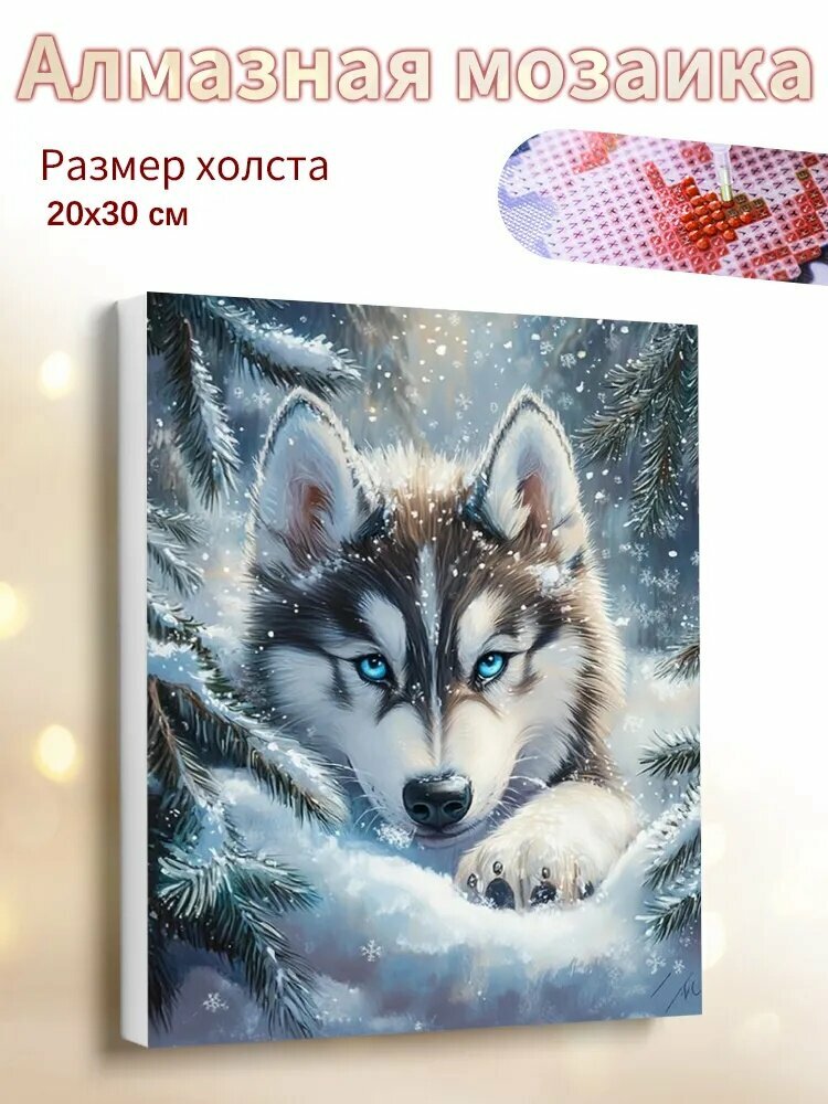 Алмазная мозаика на подрамнике 20x30cm "Хаски на снегу" / картина алмазная стразами
