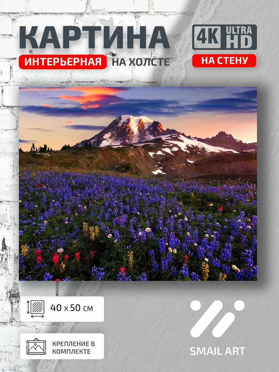 Картина на холсте интерьерная 40 на 50 на стену Поляна Landscape для офиса пейзаж интерьер