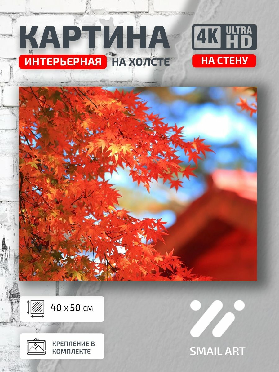 Картина на холсте интерьерная 40 на 50 на стену Клен Mood для кабинета атмосфера интерьер
