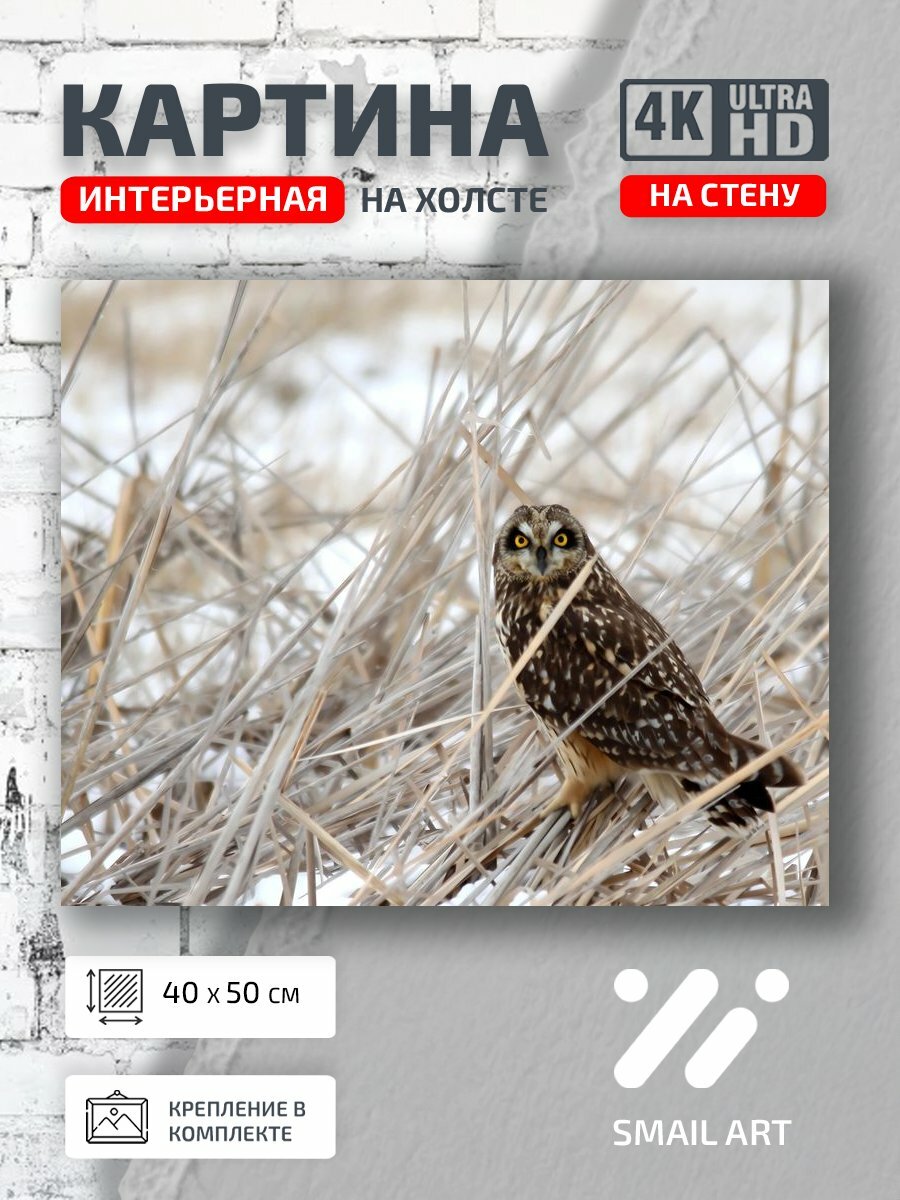 Картина на холсте интерьерная 40 на 50 на стену Сова Landscape для офиса пейзаж интерьер