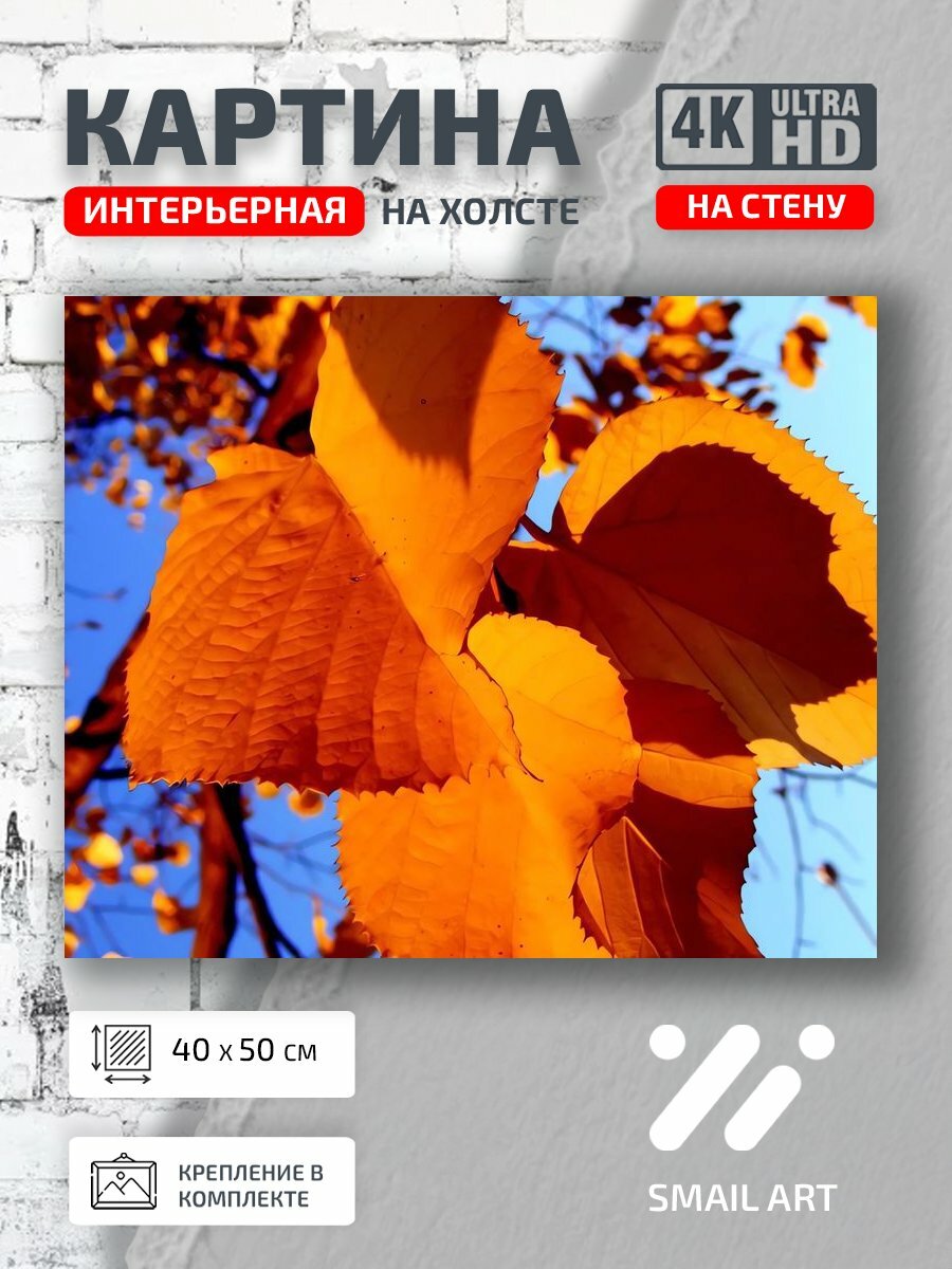 Картина на холсте интерьерная 40 на 50 на стену Крупный Landscape для спальни пейзаж декор