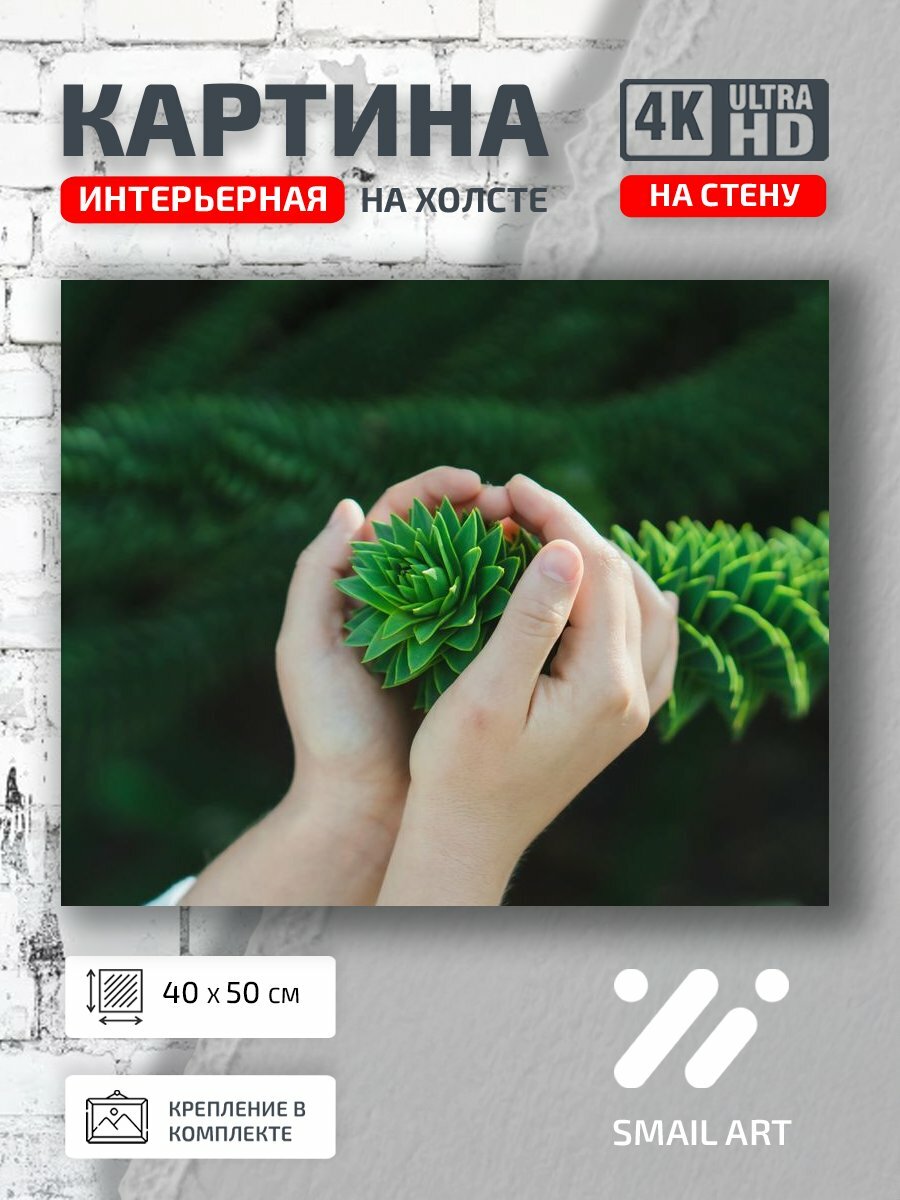 Картина на холсте интерьерная 40 на 50 на стену Зеленый Mood для спальни атмосфера интерьер