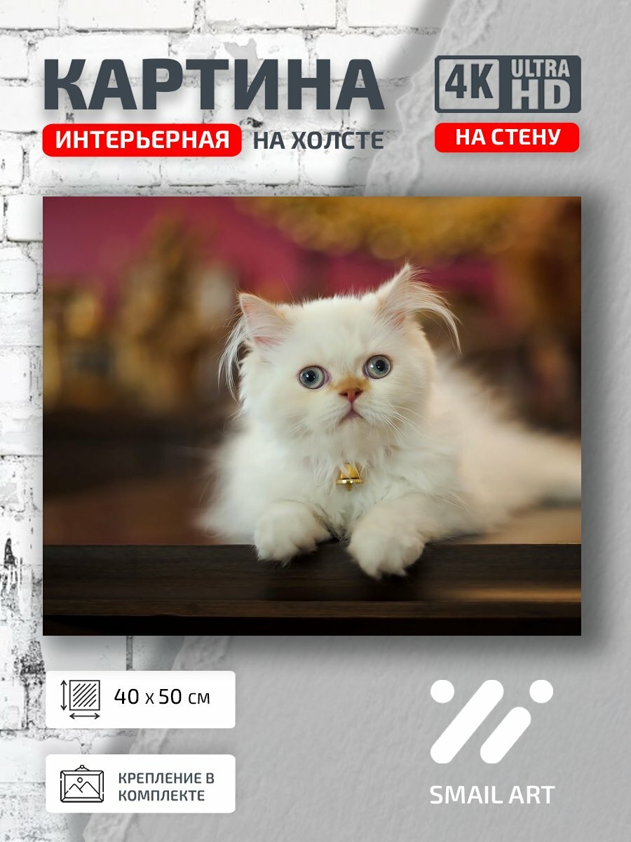 Картина на холсте интерьерная 40 на 50 на стену Белый cat для детской animal style интерьер
