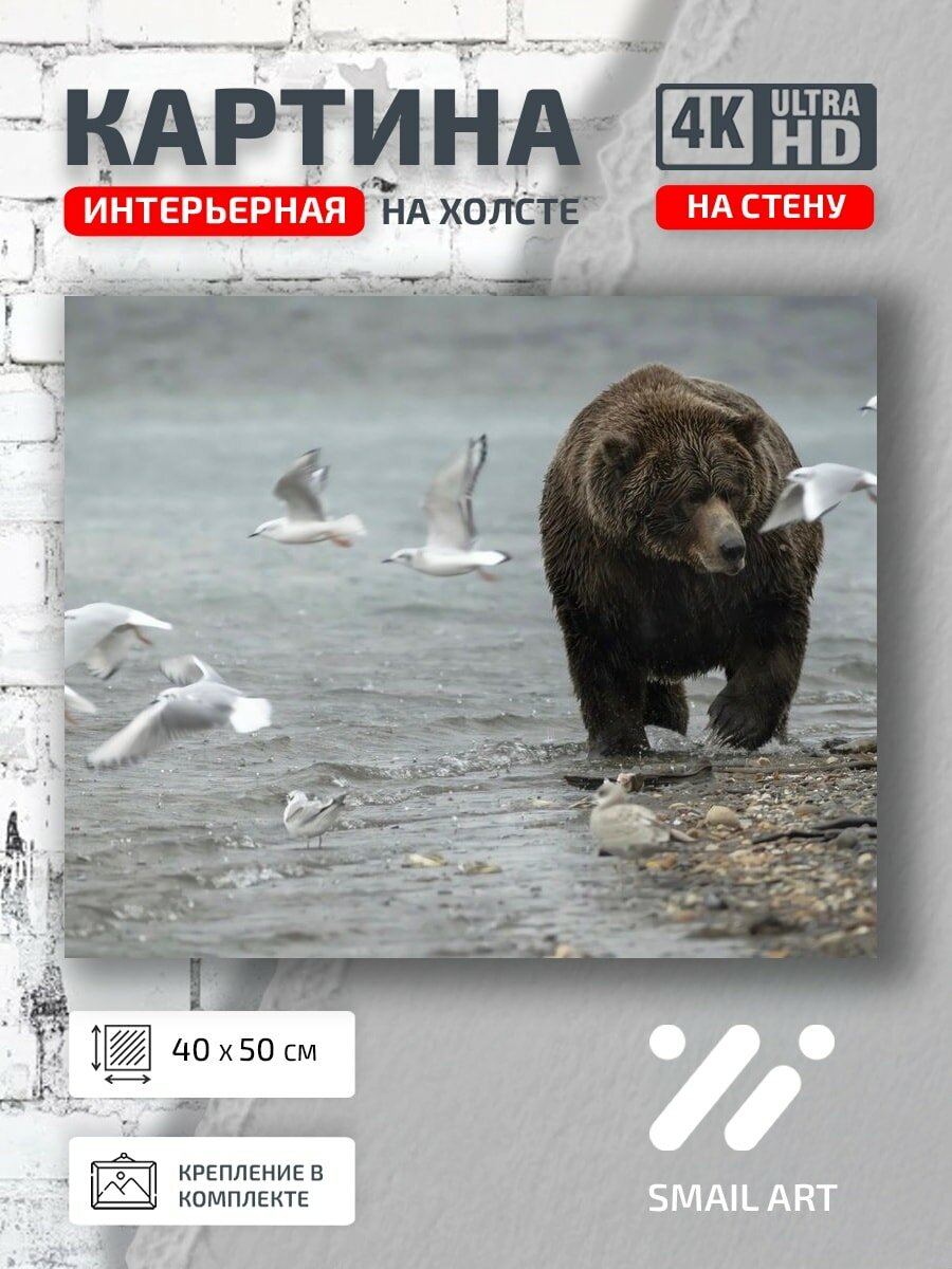 Картина на холсте интерьерная 40 на 50 на стену Животные Медведь для кабинета атмосфера