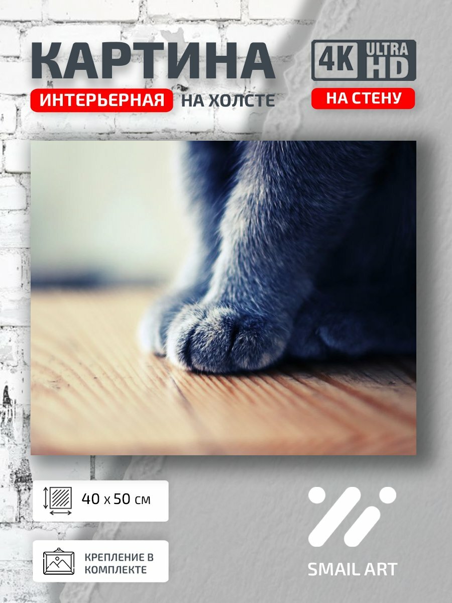 Картина на холсте интерьерная 40 на 50 на стену Кота Animal для кафе animal style интерьер