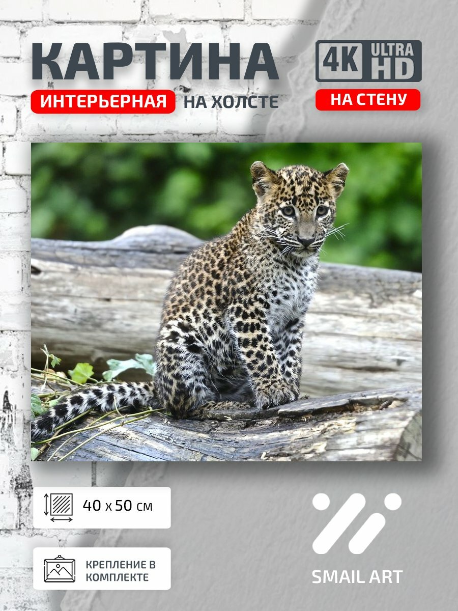 Картина на холсте интерьерная 40 на 50 на стену Ягуар Mood для офиса атмосфера интерьер