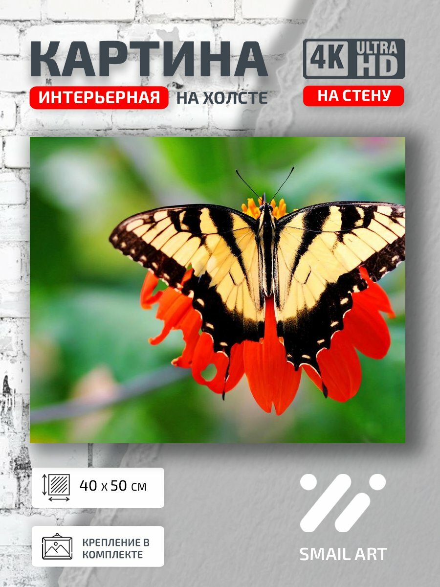 Картина на холсте интерьерная 40 на 50 на стену Насекомое Landscape для офиса пейзаж декор