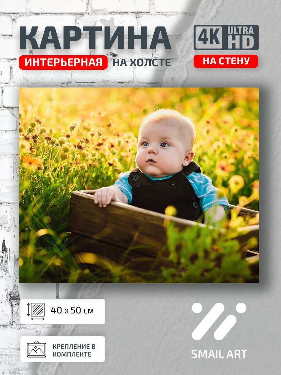 Картина на холсте интерьерная 40 на 50 на стену Коробке Landscape для офиса пейзаж интерьер