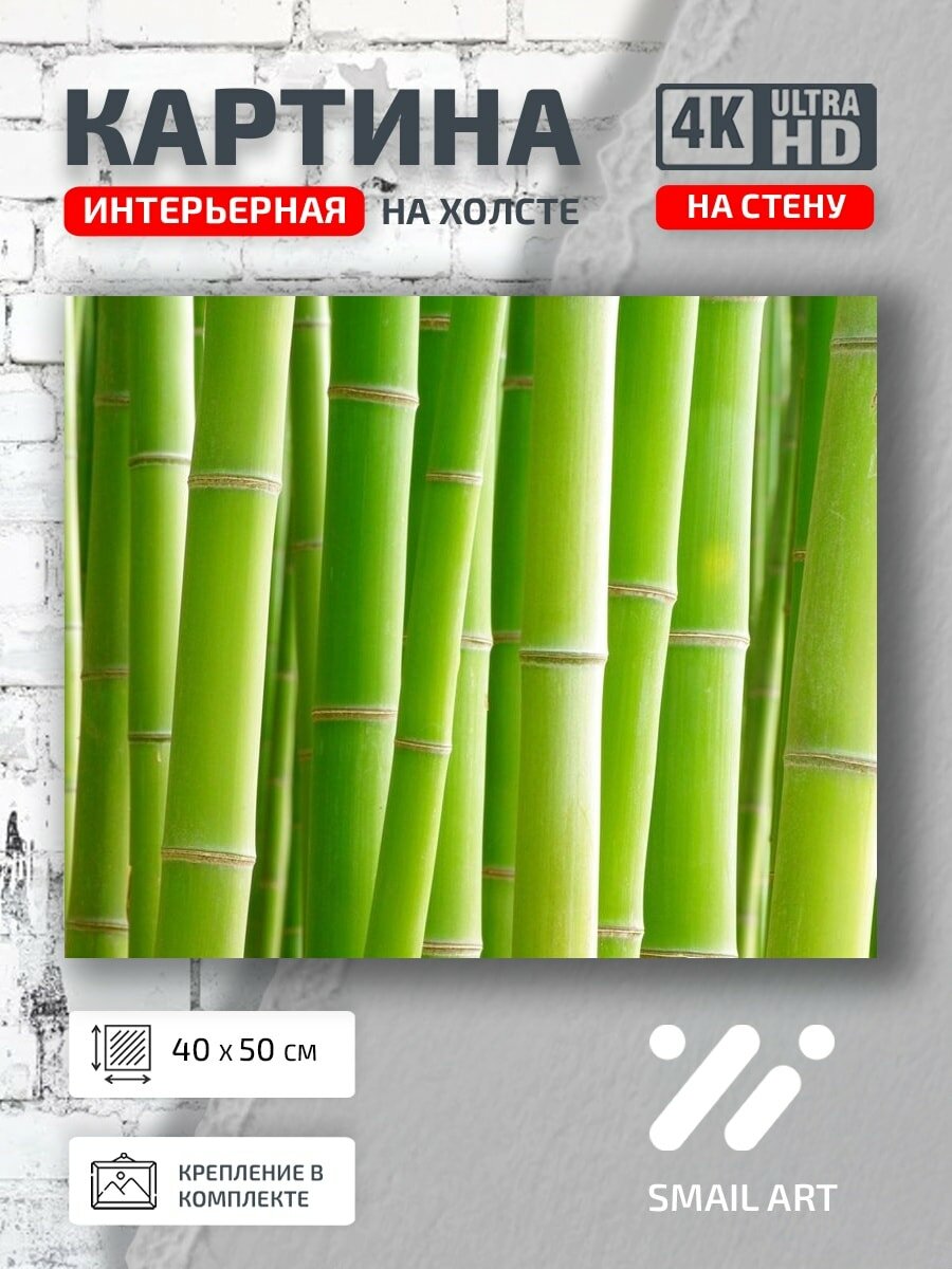 Картина на холсте интерьерная 40 на 50 на стену Бамбуковые деревья для спальни пейзаж