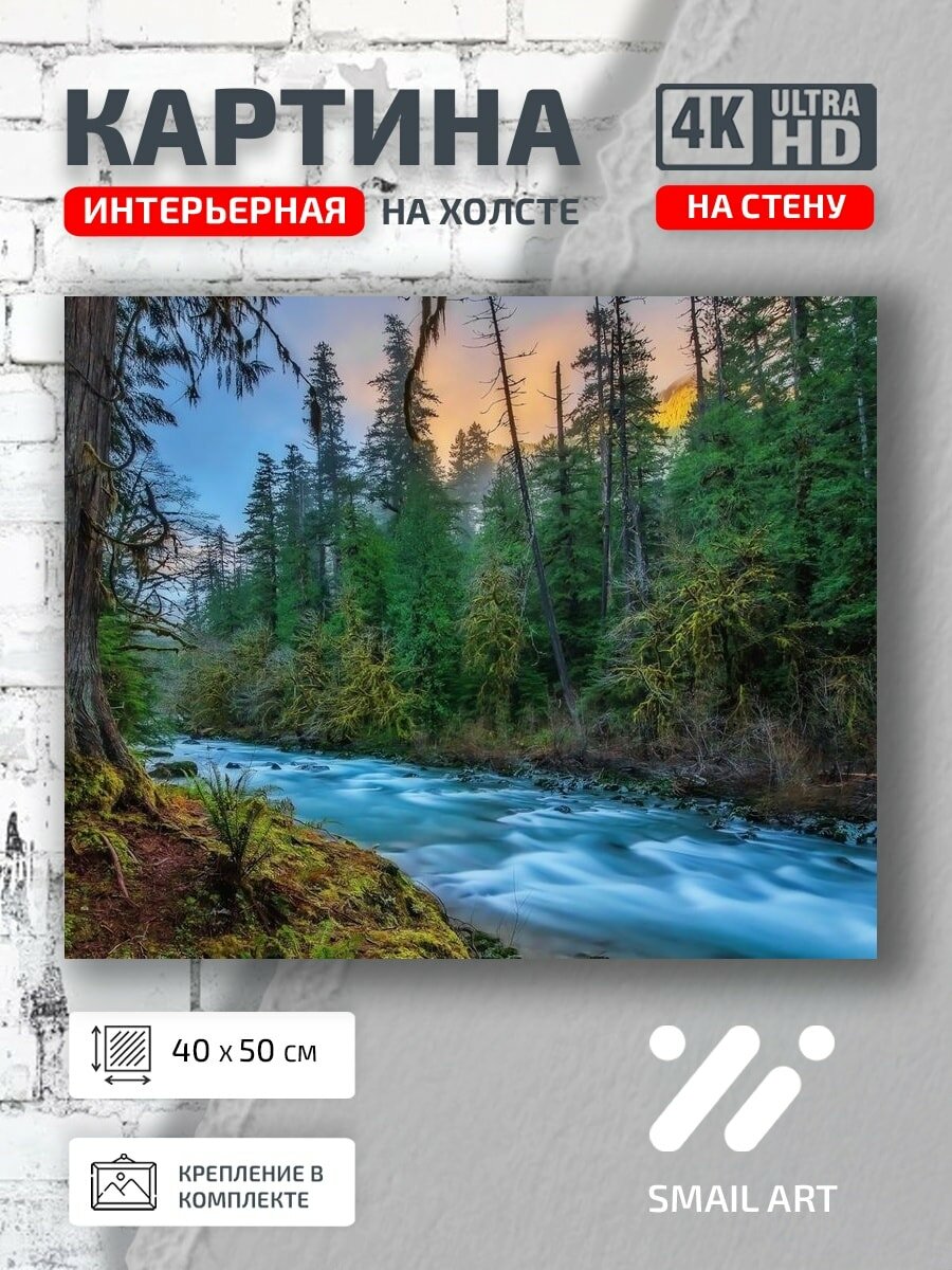 Картина на холсте интерьерная 40 на 50 на стену лес река для гостиной пейзаж