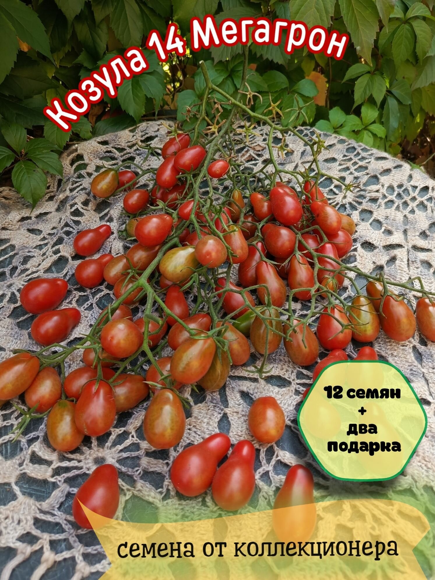 "Козула 14 Мегагрон", семена томатов, селекция Анны Янковски, Польша