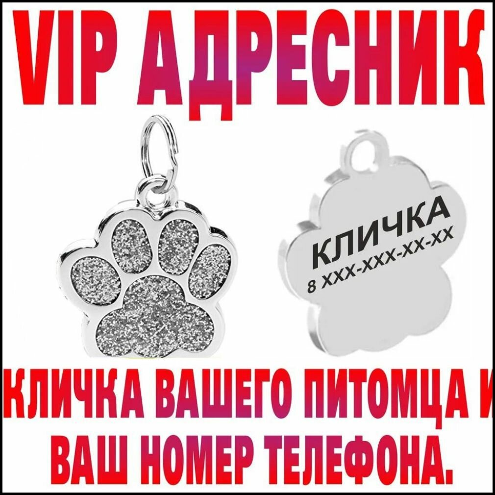 Адресник для собак и кошек . Лапка