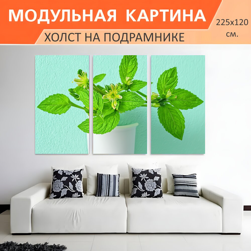 Модульная картина на холсте "Мятный цвет: очаровательные мятные цветы расцветают на фоне мятной стены, создавая гармоничную." триптих на подрамнике 225х120 см. для интерьера