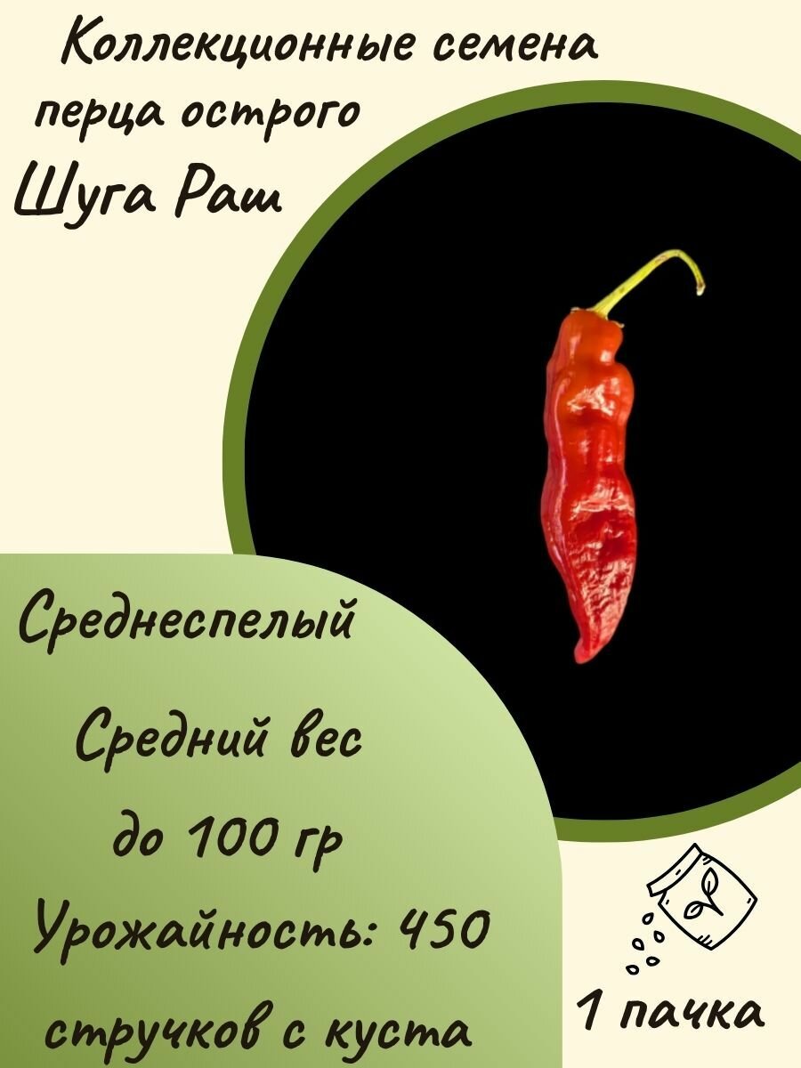 Коллекционные семена перца острого Шуга Раш, 10 шт. семян