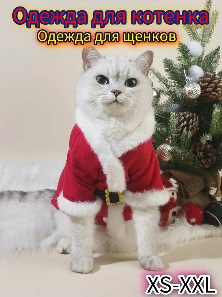 Домашние кошки, домашние собаки, одежда, халаты