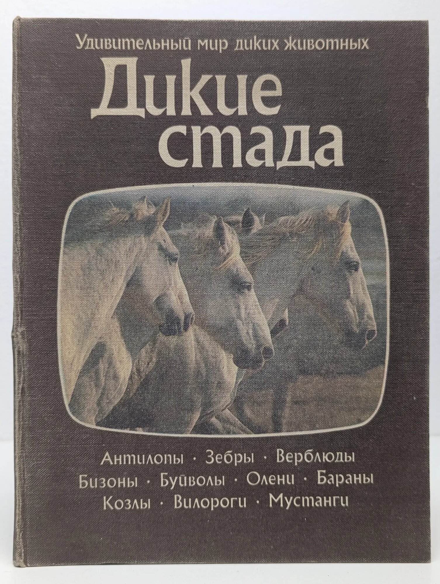 Дикие стада Нири Джон 1984