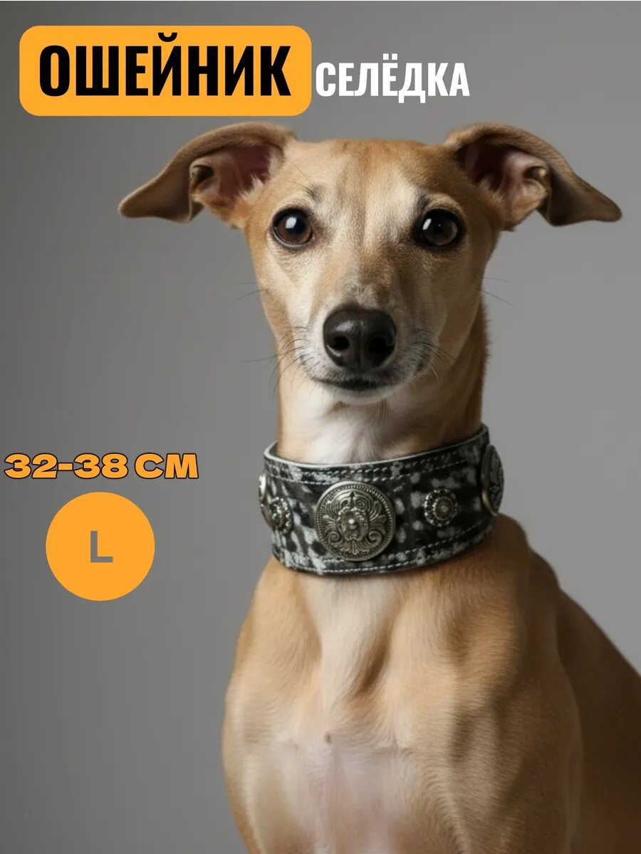 Dogbond ошейник-селедка для малых и средних пород