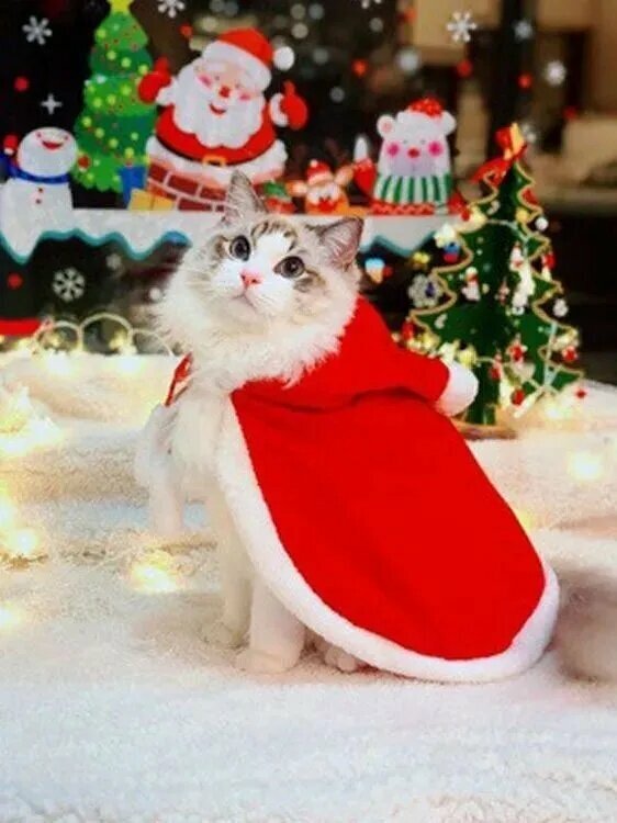 Одежда для животных, красный, костюм новогодний для кошек: L
