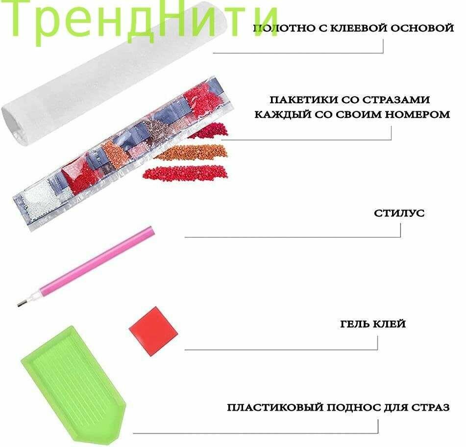 Алмазная мозаика — фото 1
