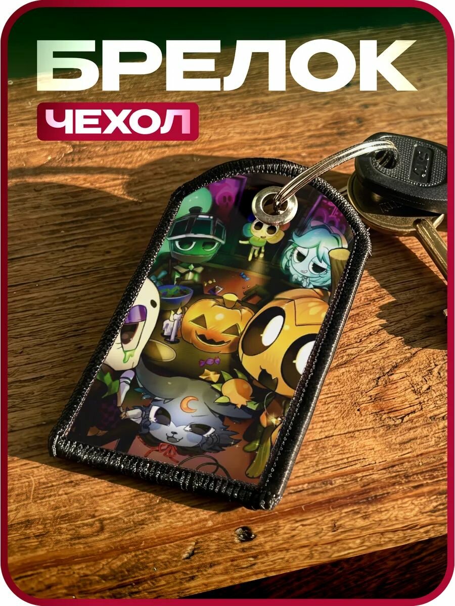 Чехол для ключа домофона Мир Денди