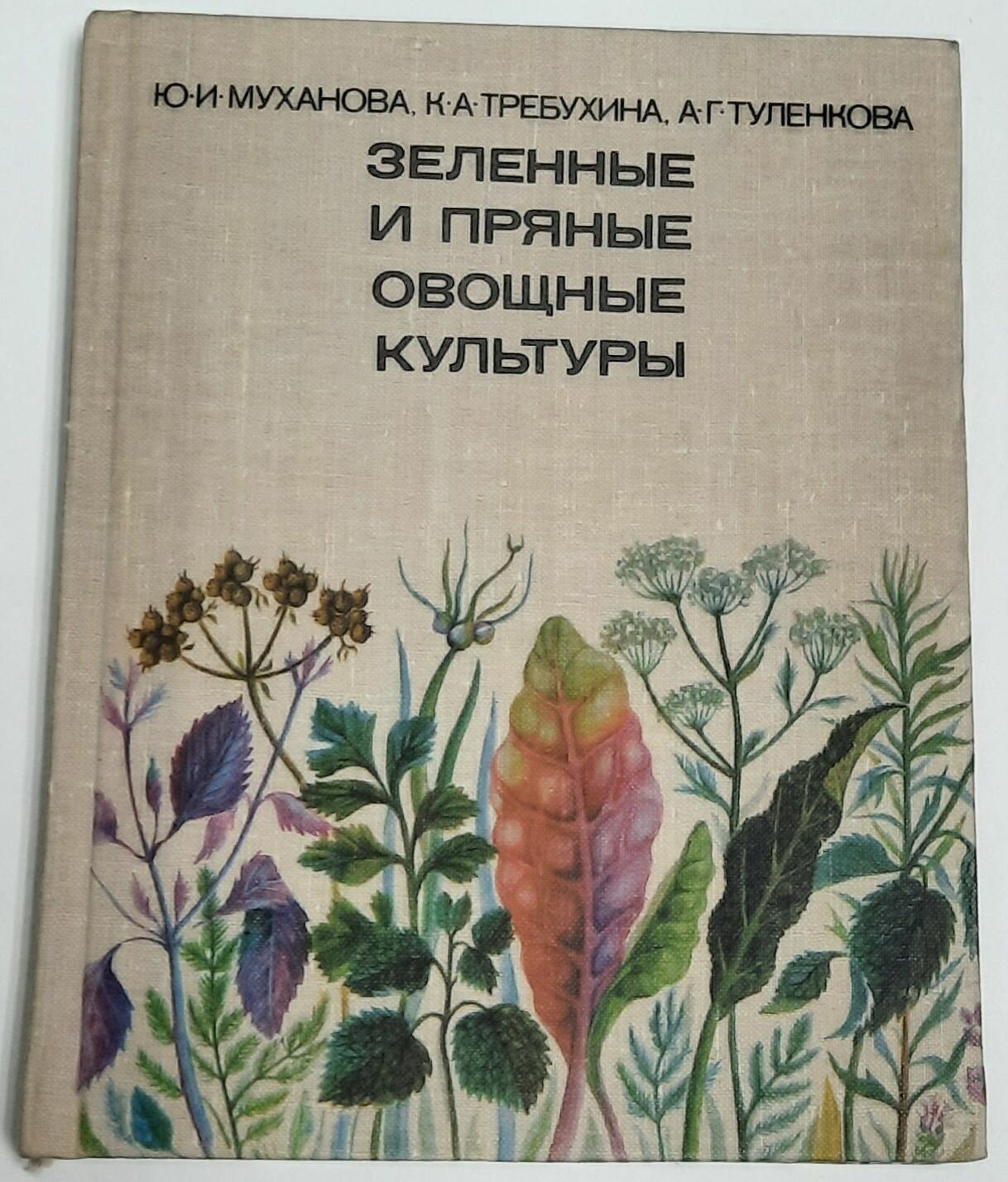 Зеленые и пряные овощные культуры