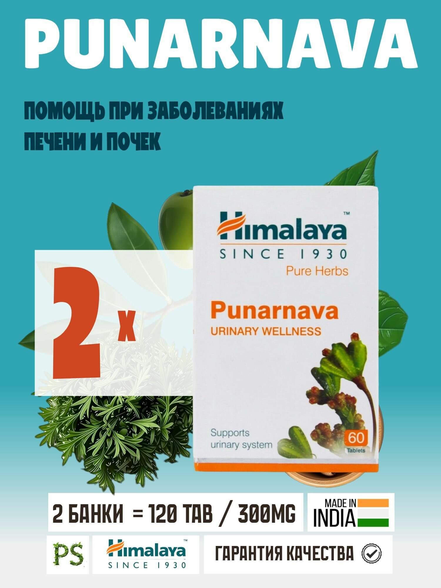 Пунарнава (Punarnava) - помощь при заболеваниях печени и почек, 120 таблеток