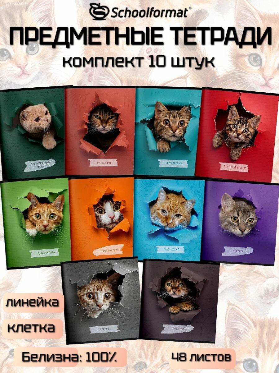 Schoolformat Набор предметных тетрадей со справочным материалом любопытный котик 48 листов, 10 штук 100% белизна