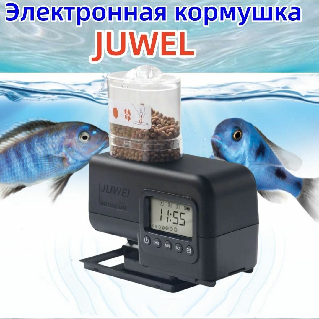 Автокормушка