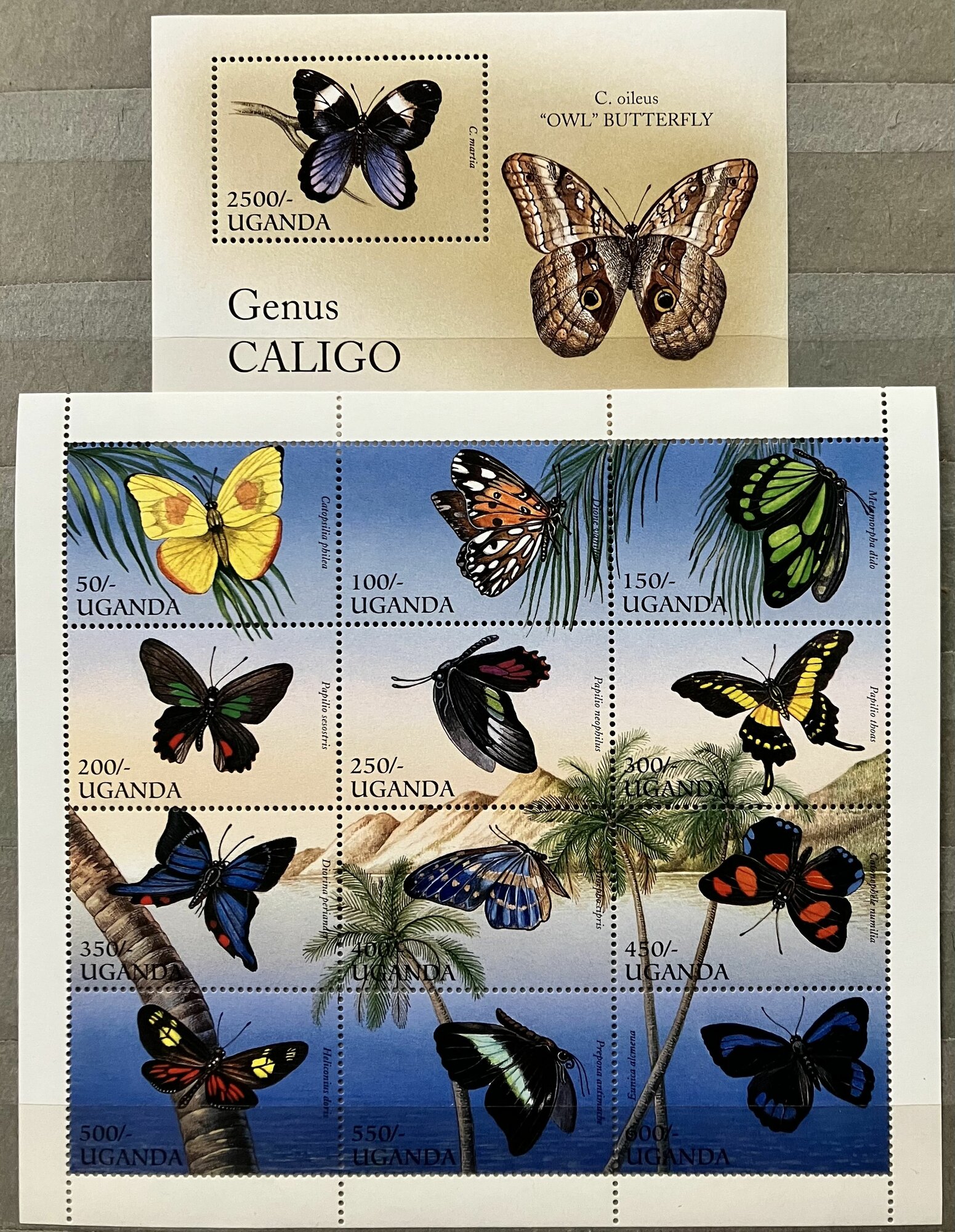 Уганда 1996, Фауна. Бабочки