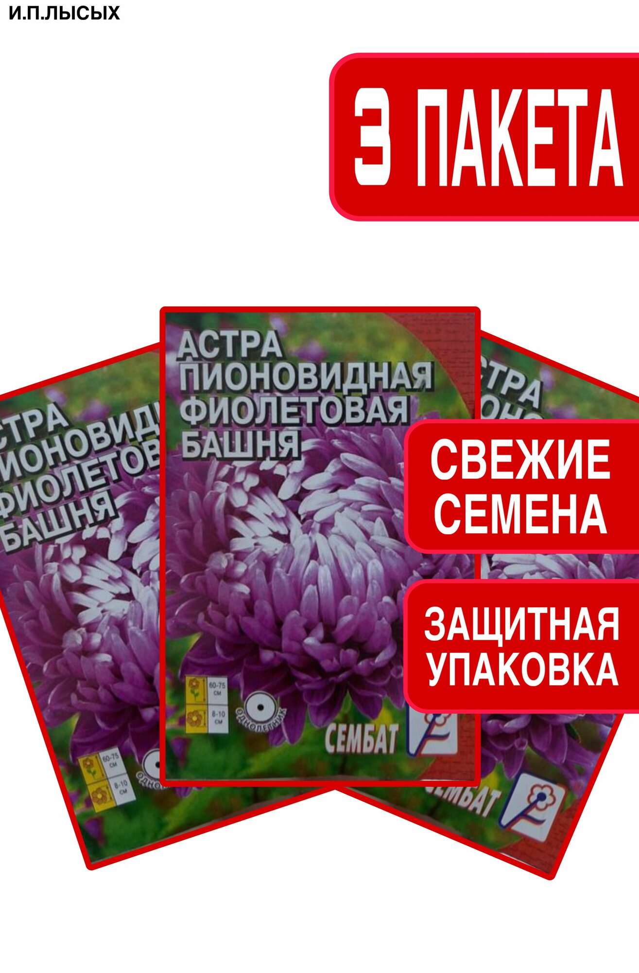 Семена Астра Пионовидная "Фиолетовая Башня"