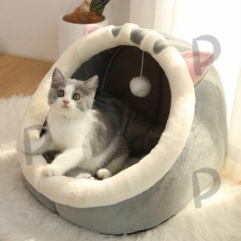 Корзина для домашних животных, комфортабельный котенок, котенок, кот.