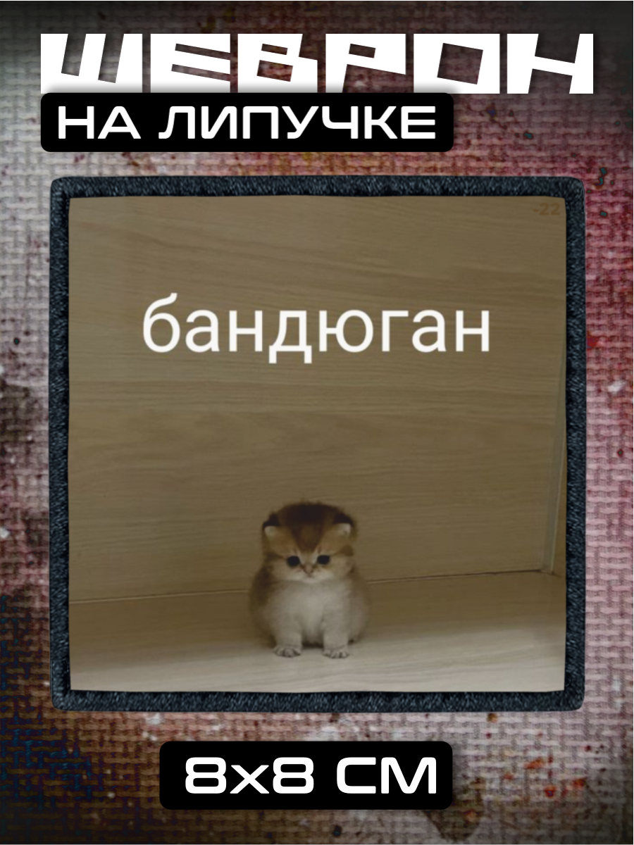 Шеврон на липучке Котенок мем