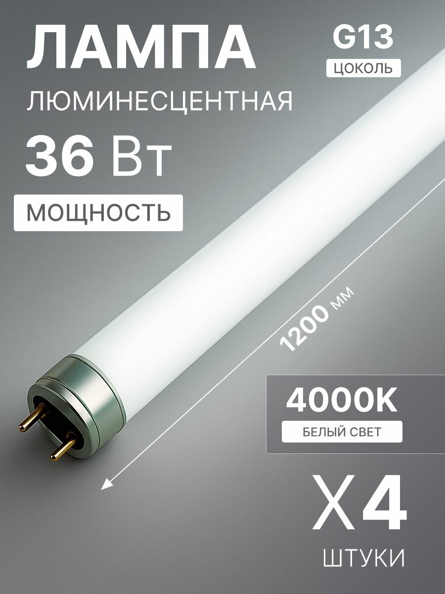 Лампочка люминесцентная 120 см L 36W/640 36Вт T8 4000К G13 OSRAM 4008321959713 4 штуки