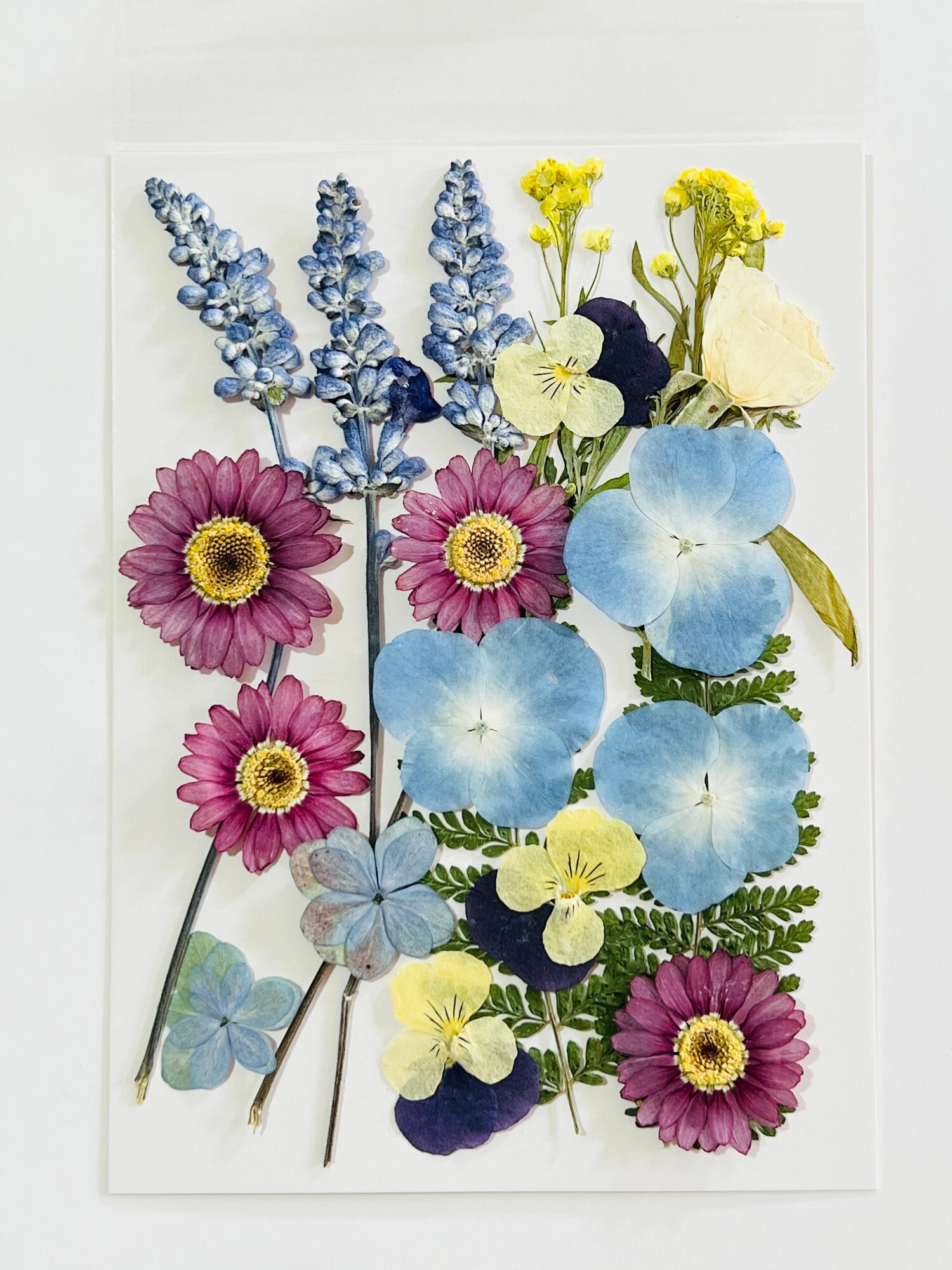 Натуральные сушёные цветы для эпоксидной смолы, ручного творчества и декора, природные элементы для бижутерии, свечей, фоторамок и других DIY-проектов