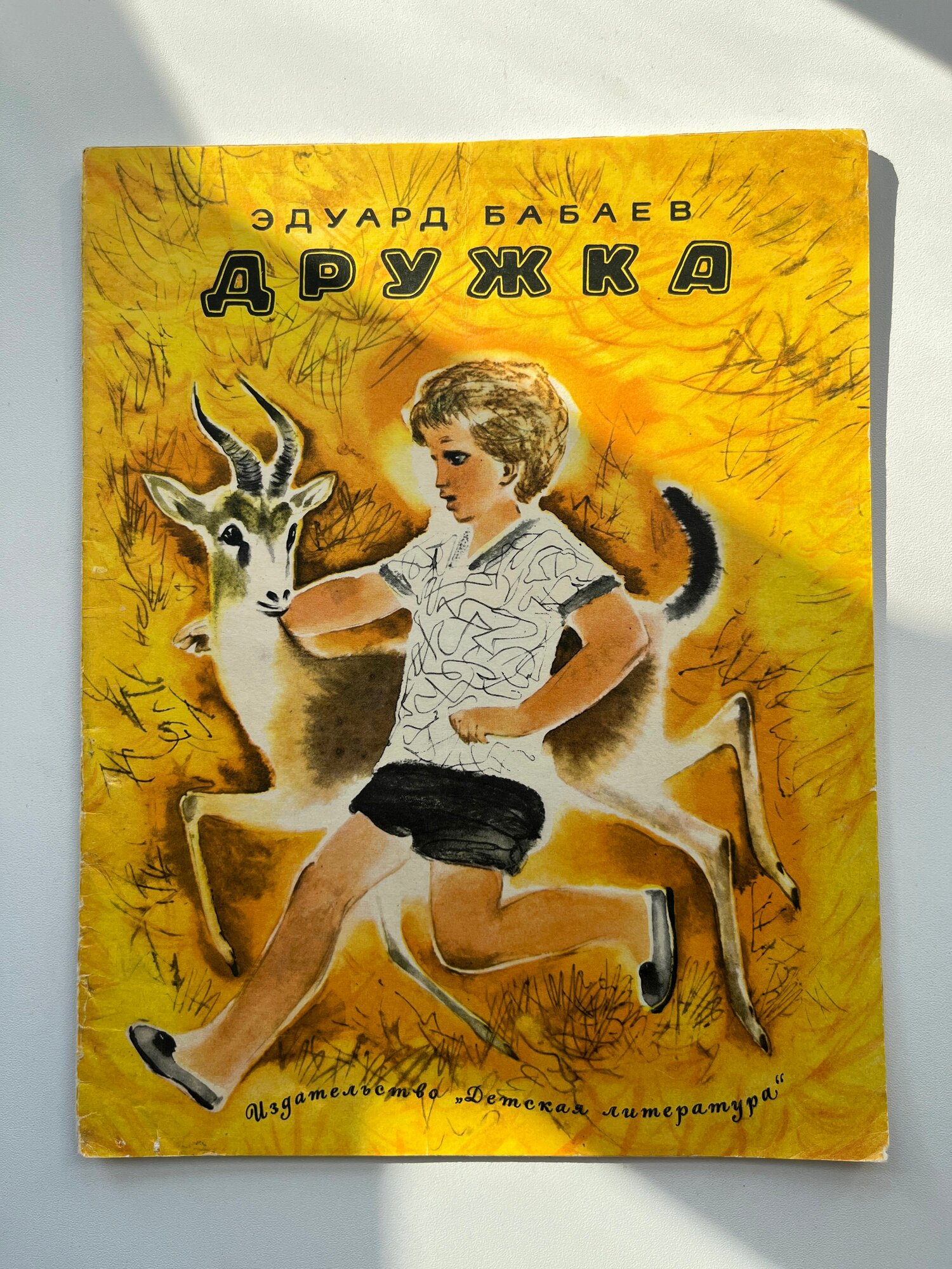 Дружка. Повесть. Рисунки Т. Капустиной. Издание 1976 года