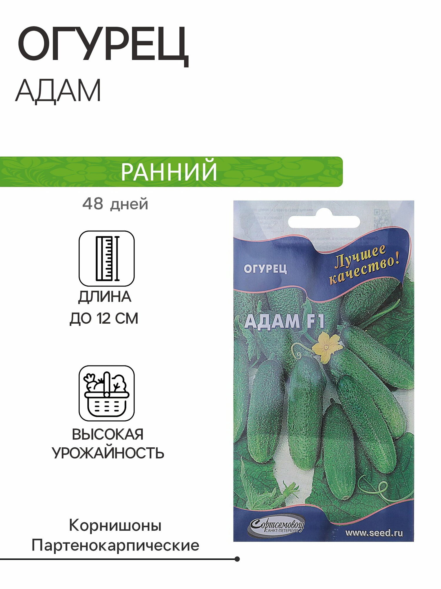 Семена огурца "Адам", F1, 6 шт, сроки созревания: ранний, упаковка: цветная