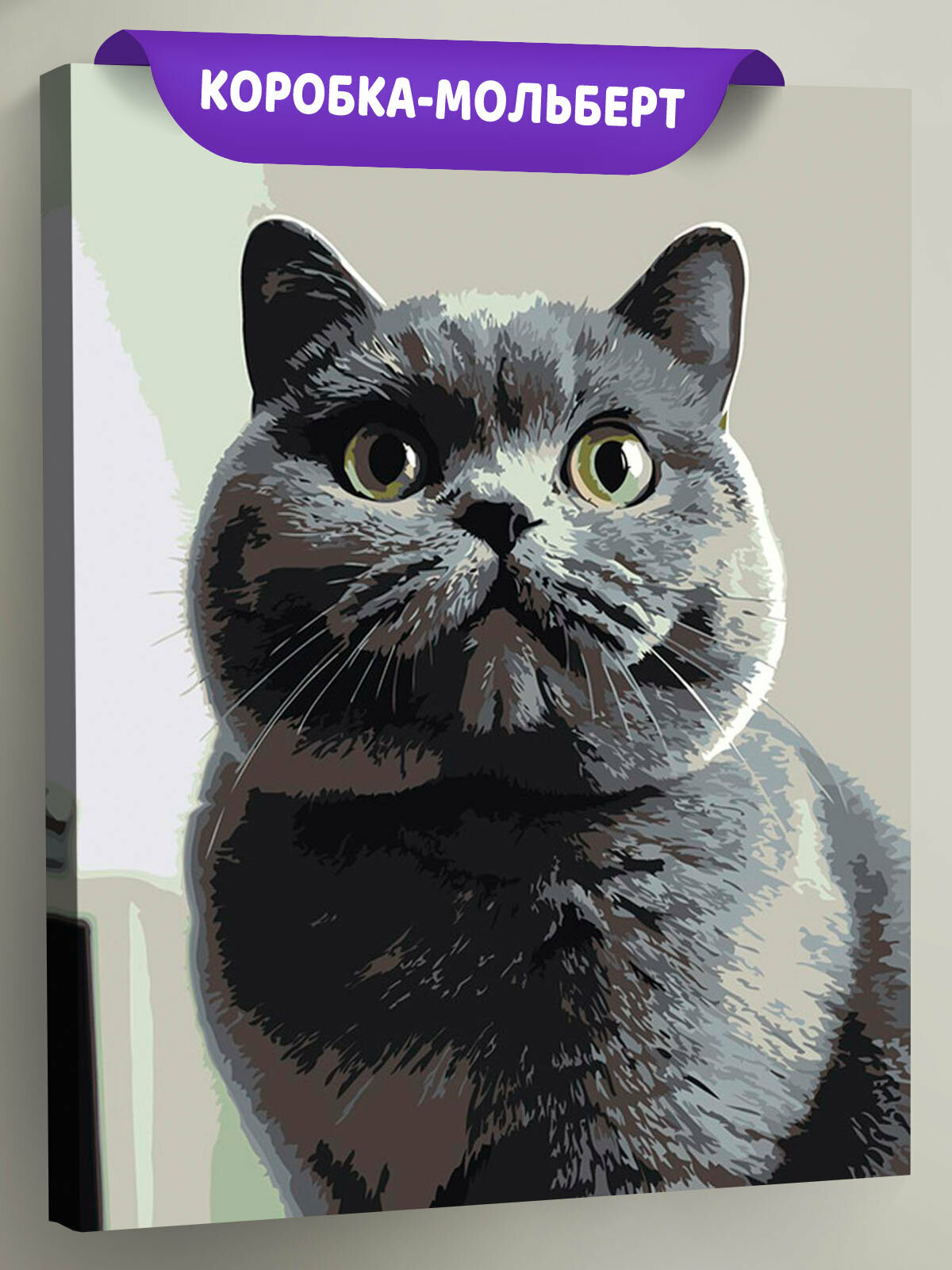 Картина по номерам на холсте с подрамником "Кошки: серый британец, британский кот" Раскраска 40х50 см, животные котики