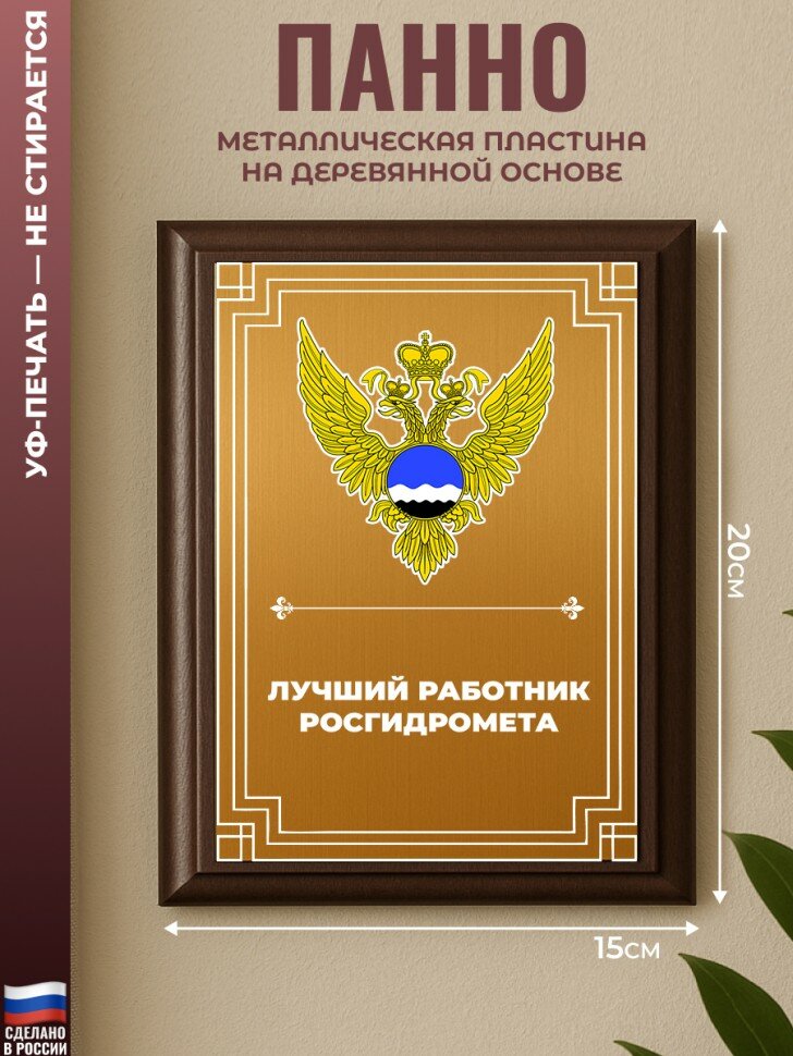 Настенный диплом "Лучший работник росгидромета" Росгидромет