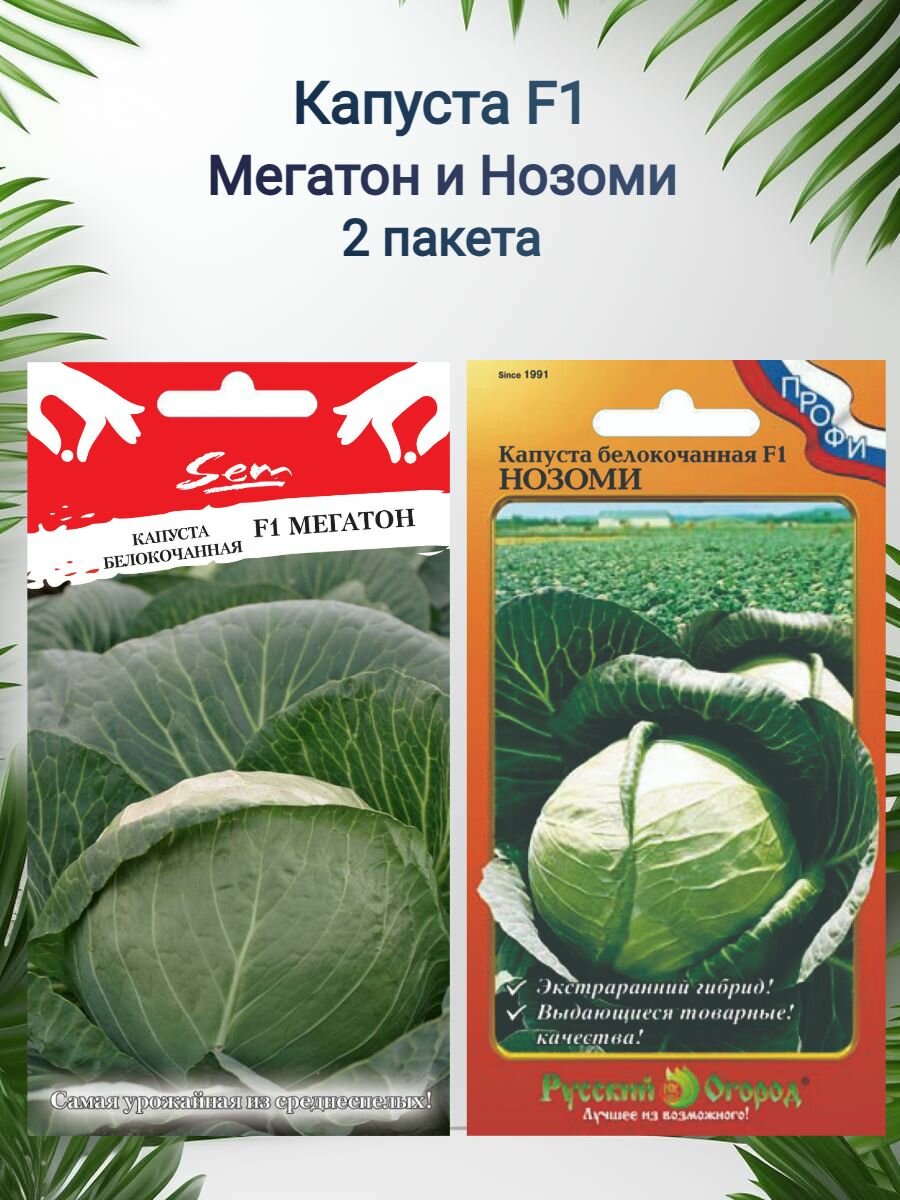 Капуста белокочанная Мегатон F1 и Нозоми F1 2 пакета семян