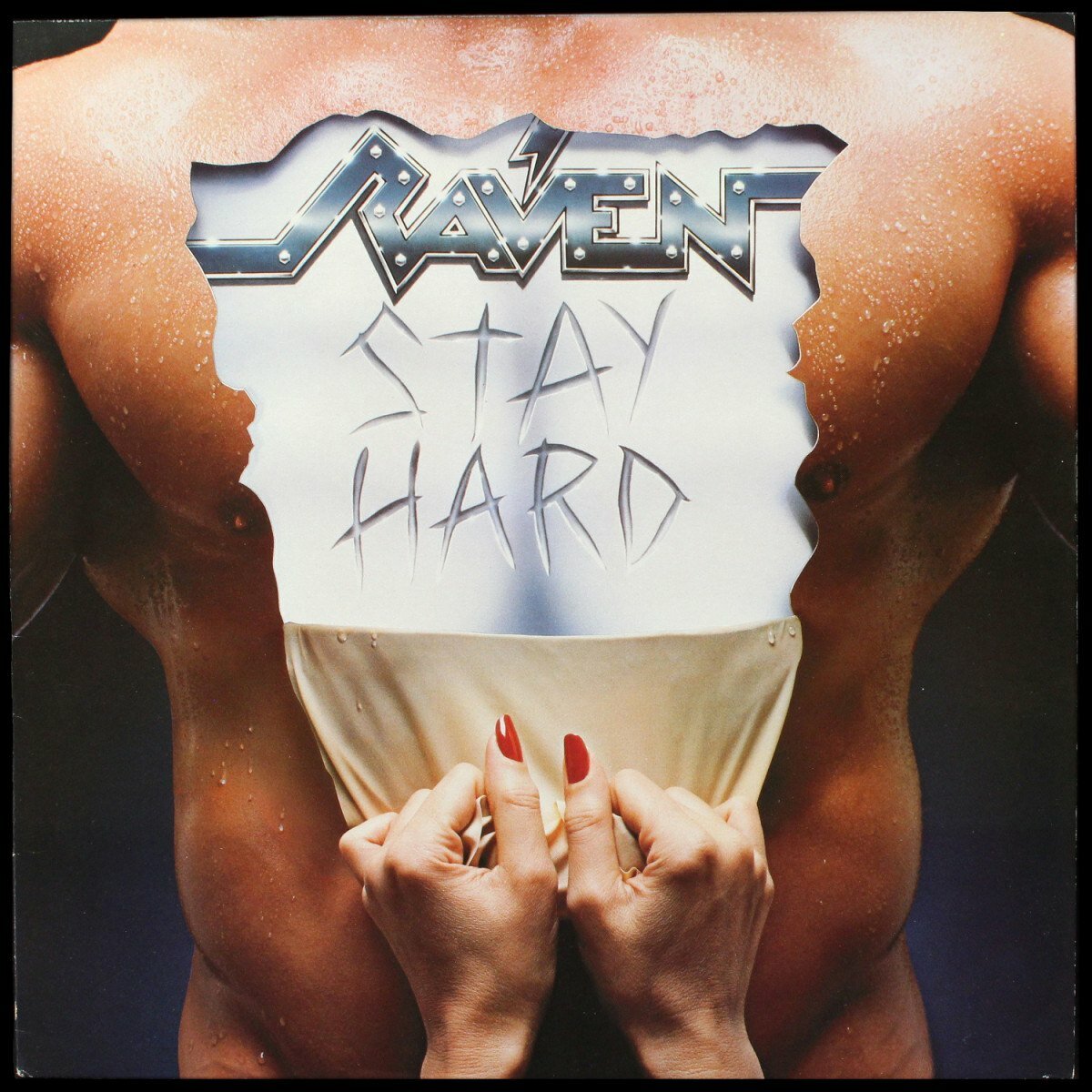 Виниловая пластинка Atlantic Raven – Stay Hard
