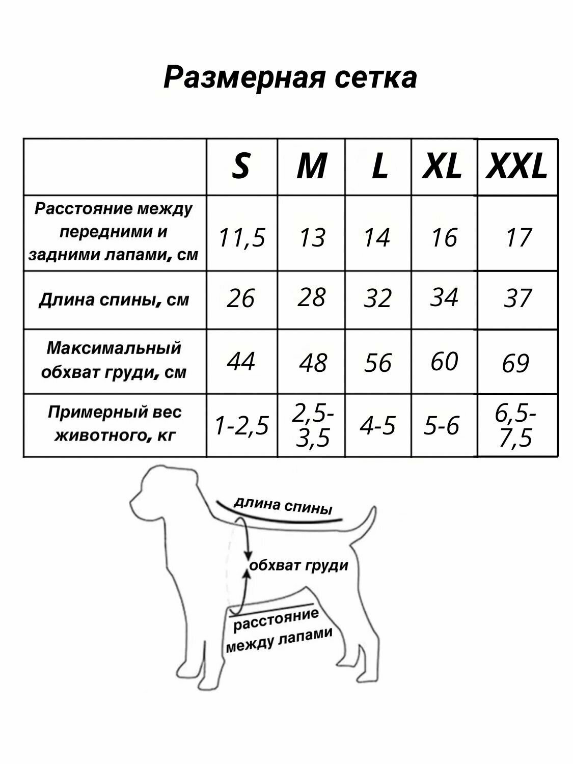 Рюкзак для кошек и собак L, для прогулок и путешествий, светло-голубой
