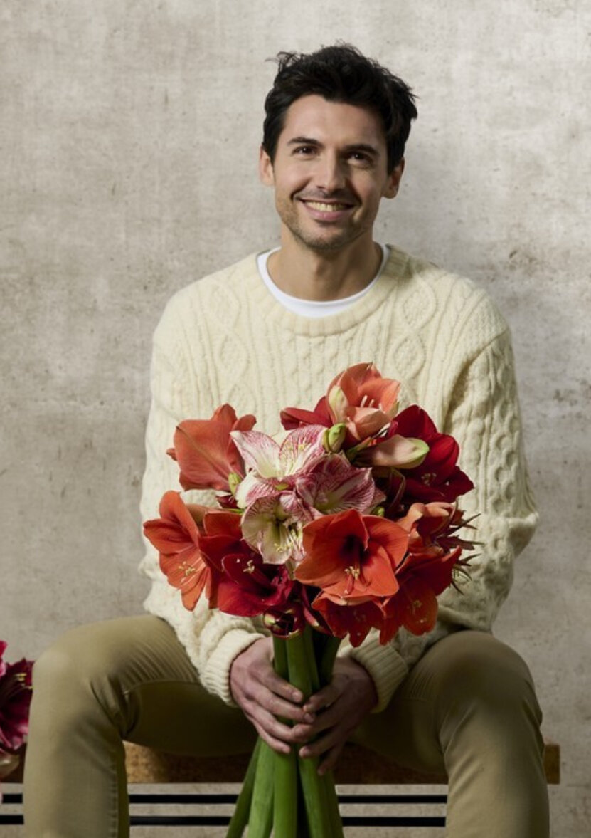 Микс из 7 амариллисов