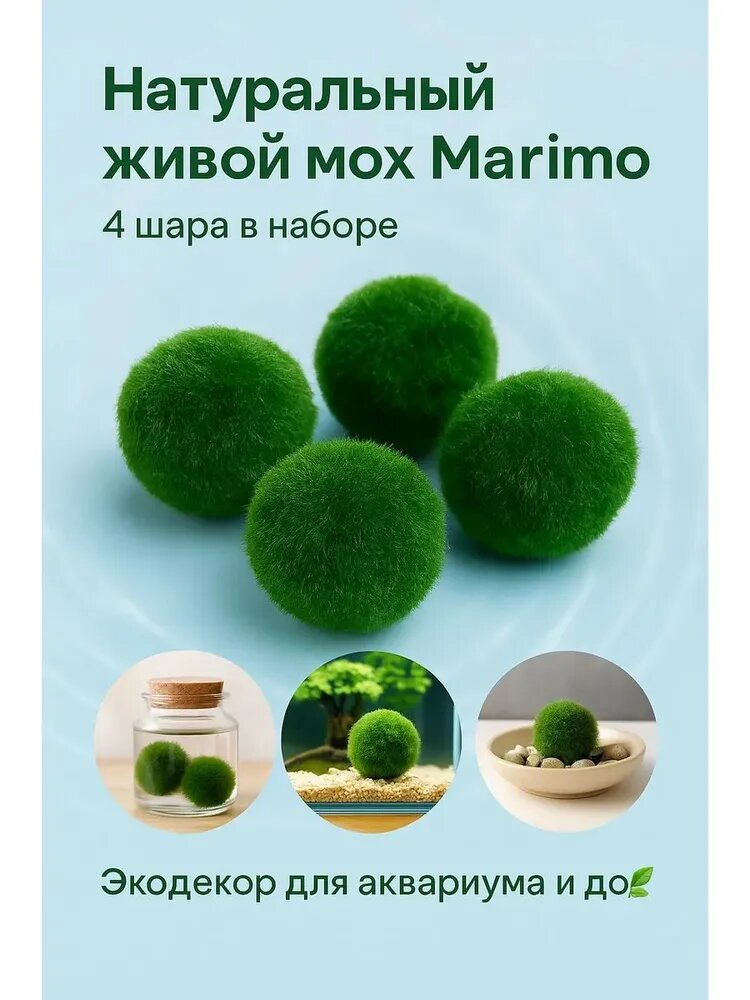 Кладофора шаровидная мох маримо (Aegagropila linnaei) 1см 4шт.